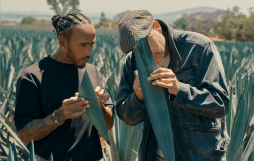 The first non-alcoholic tequila: ALMAVE by Lewis Hamilton! | Bondston