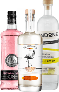 Set Sir Edmond + Puerto de Indias Strawberry + Undone No.2 Not Gin ...