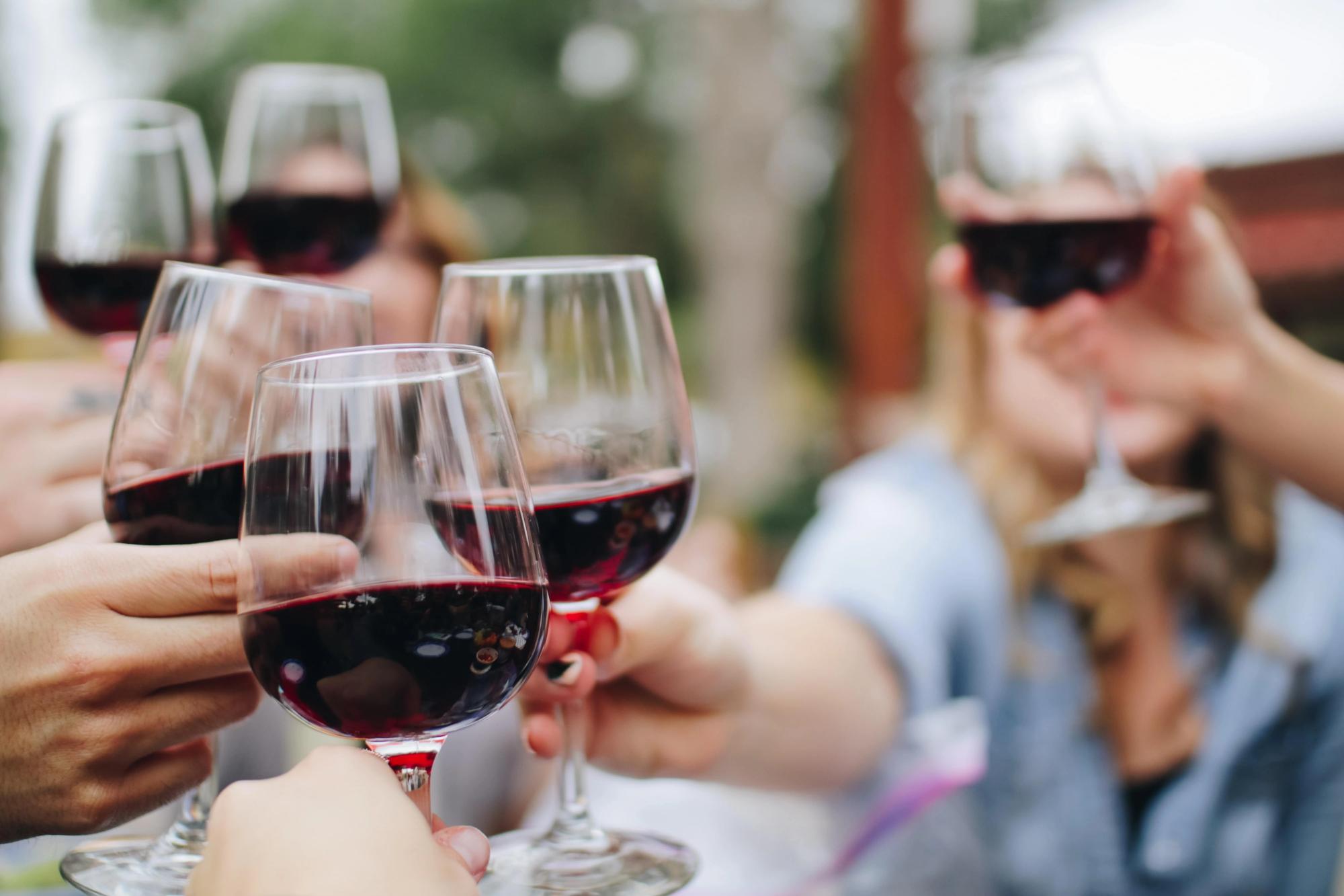 Primitivo: Italian red wine that has conquered the world | Bondston