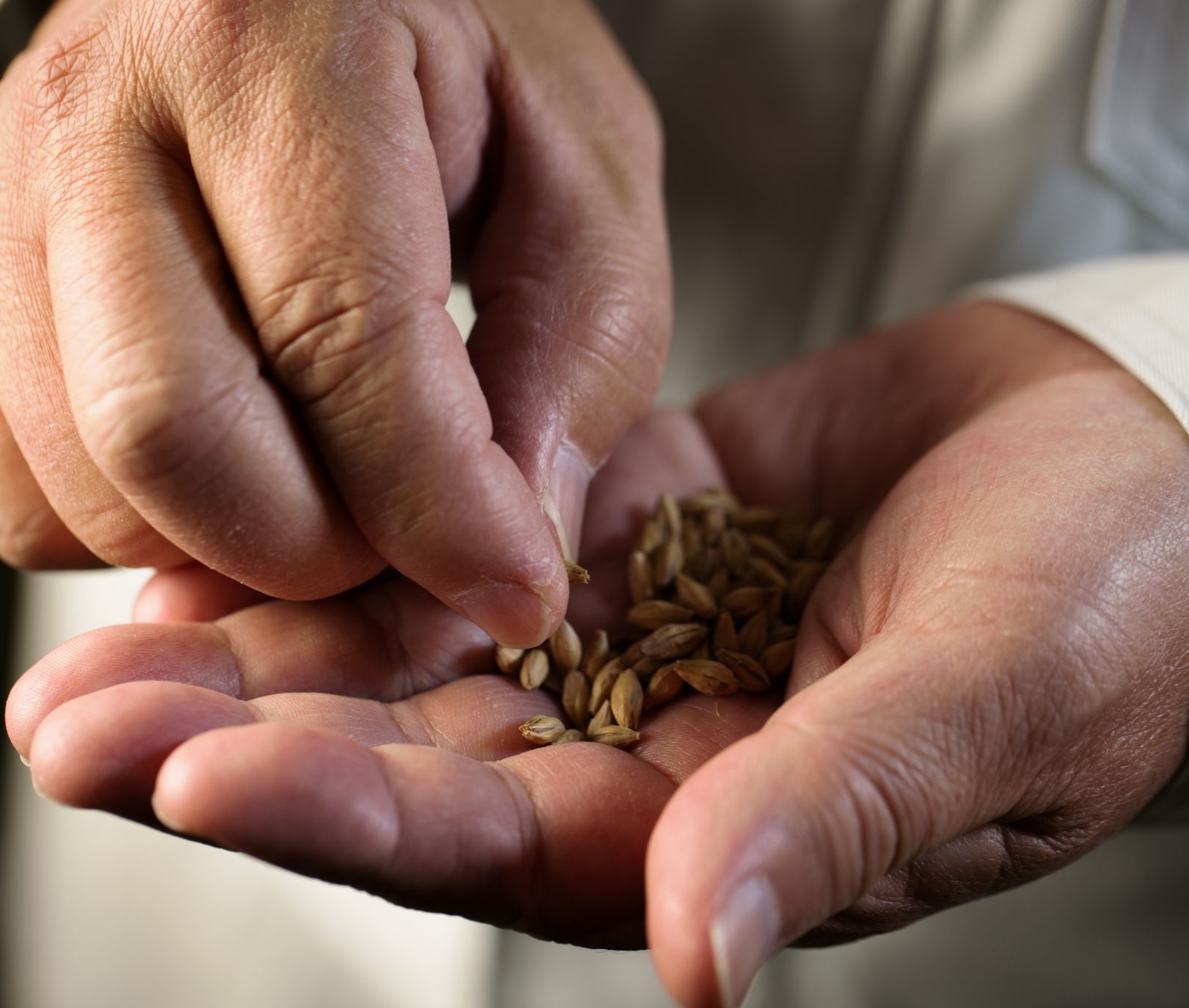 How to choose Vodka? | Bondston