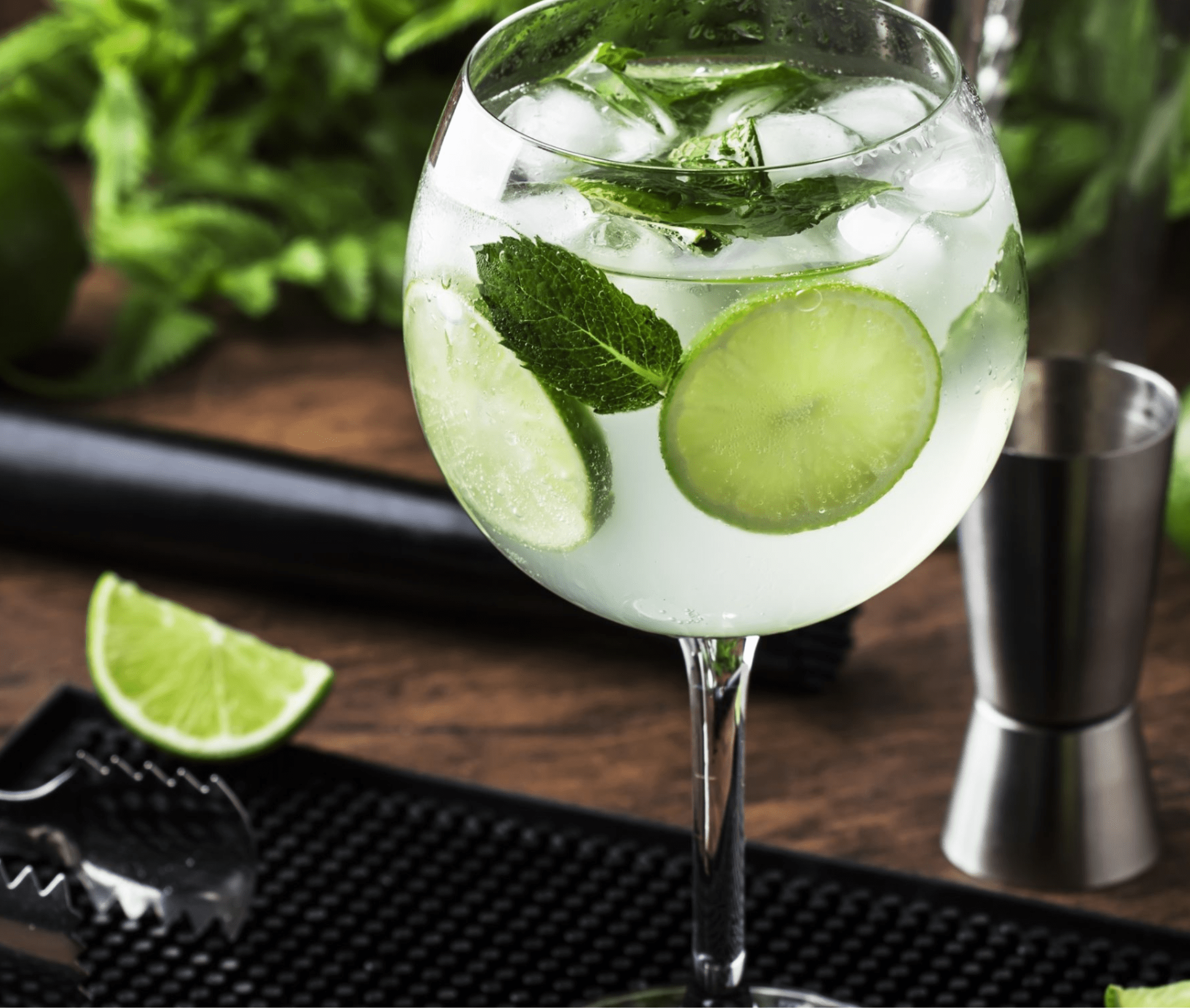 How to choose Gin? | Bondston